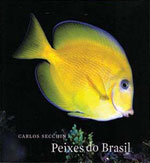 Peixes do Brasil - PetMag