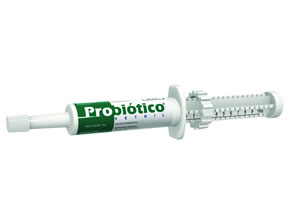 Probiótico auxilia a manter a saúde dos pets - PetMag